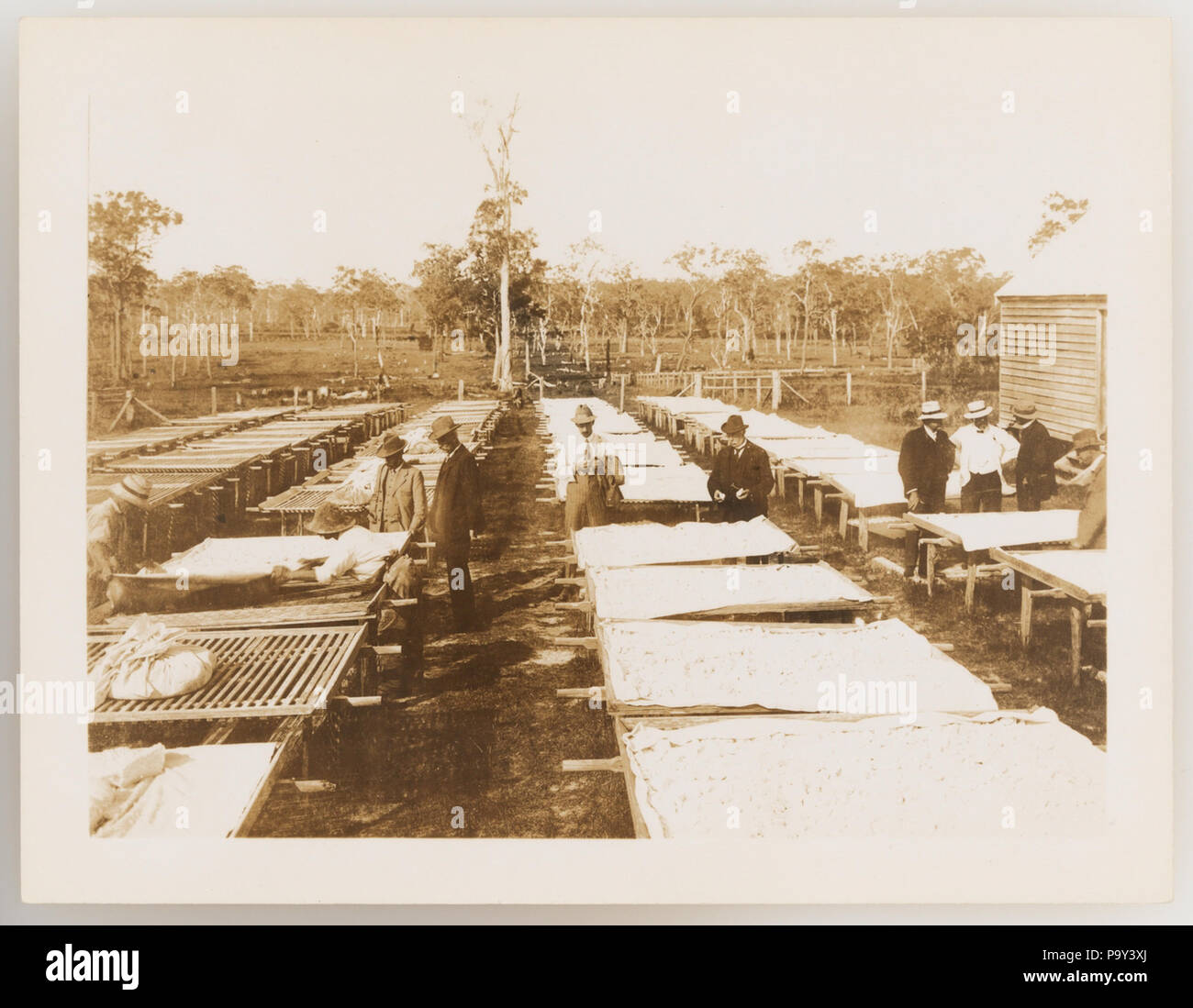Vintage irrigation systems hi-res stock photography and images - Alamy
