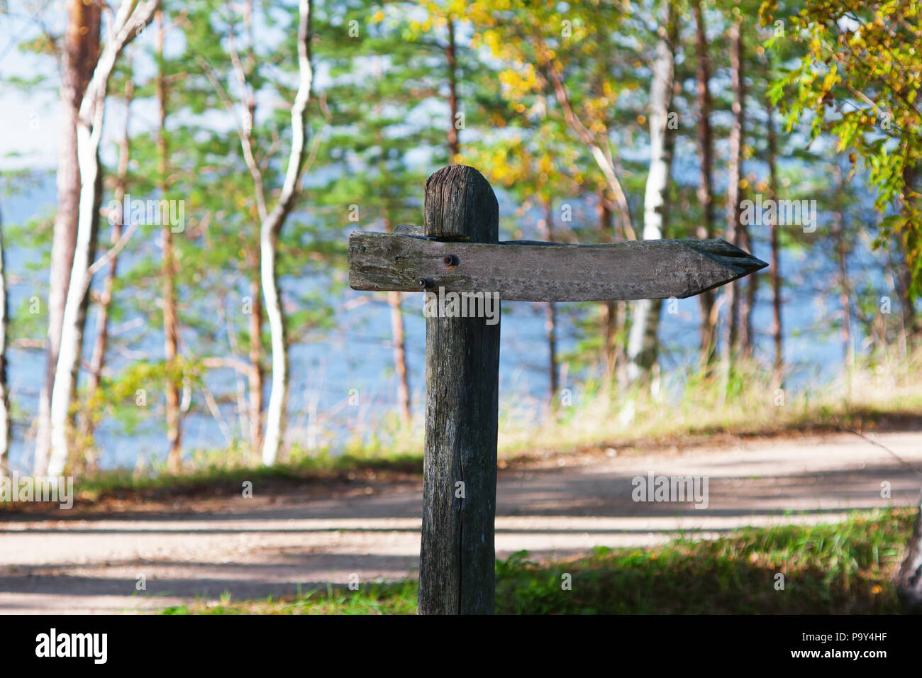 Old wooden signpost at a rural road on the background of trees on the ...