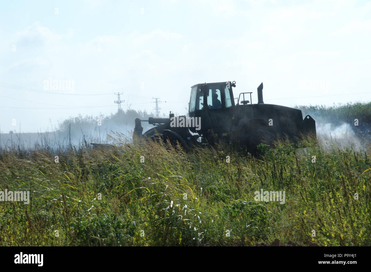 tractor in bush Stock Photo - Alamy
