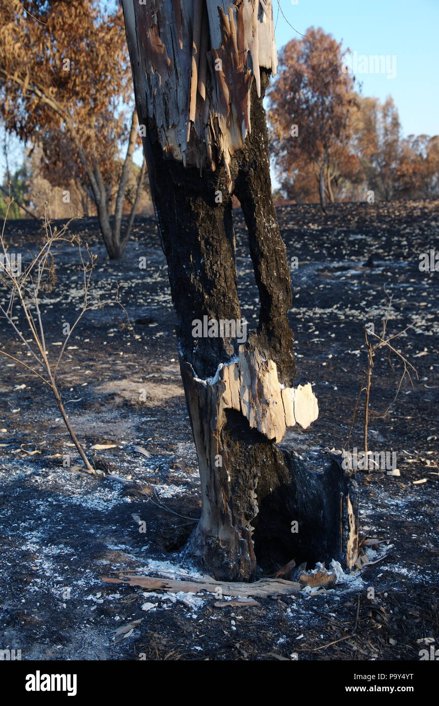 Dolor lumbar hi-res stock photography and images - Alamy