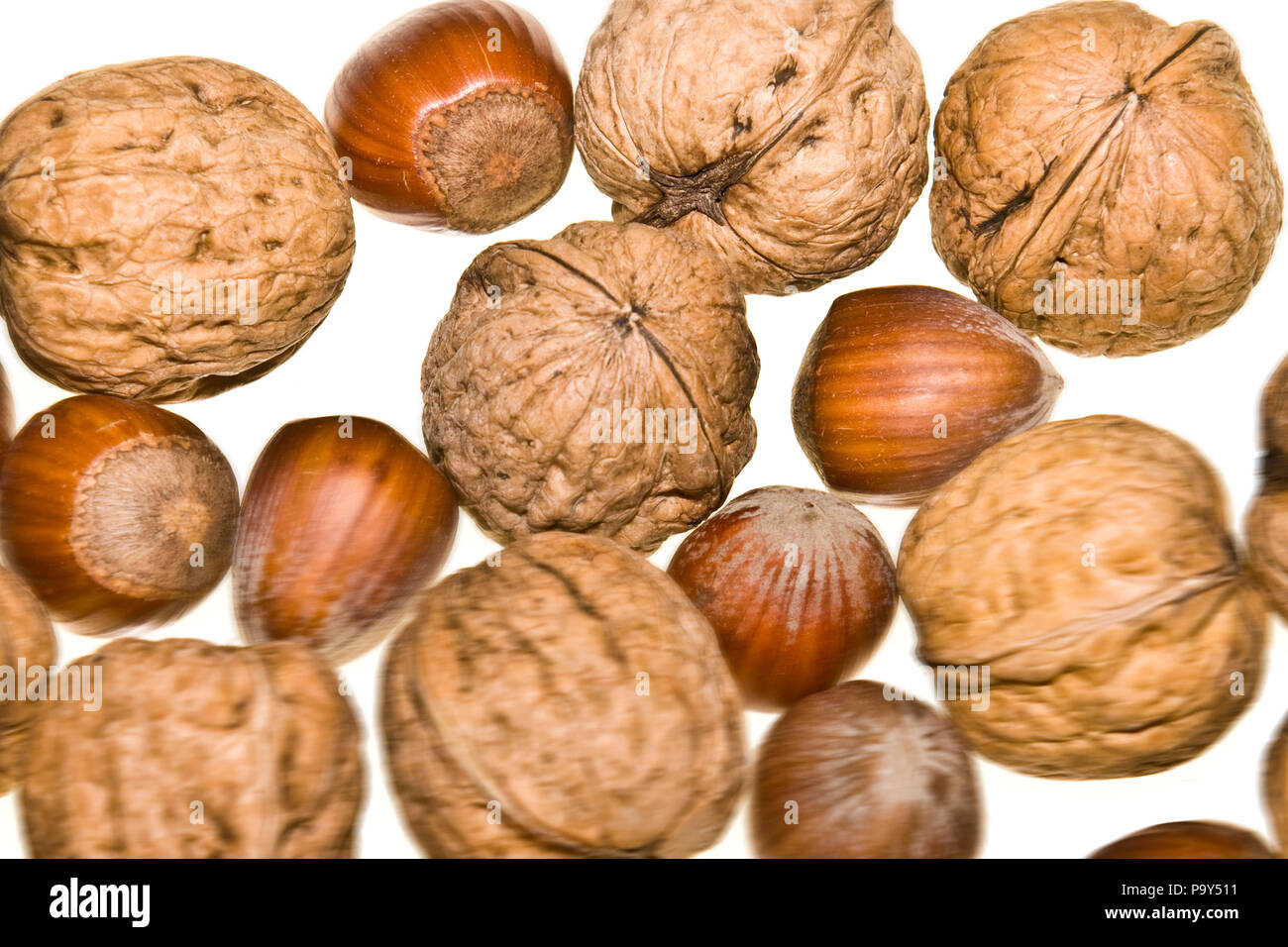 Walnuts images hi-res stock photography and images - Alamy