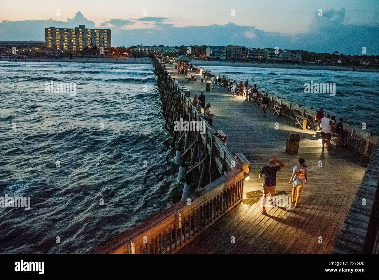 A pile of sea shells cover part of the beach at Folly Beach South Carolina Stock Photo - Alamy