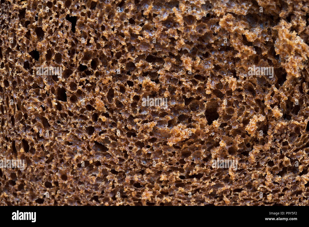 structure and details of the black pulp of rye bread cut into half ...