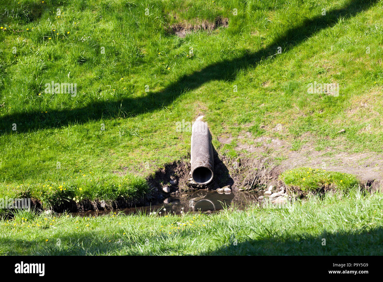 sewer pipe leading to a small river, close-up photo in the summer ...