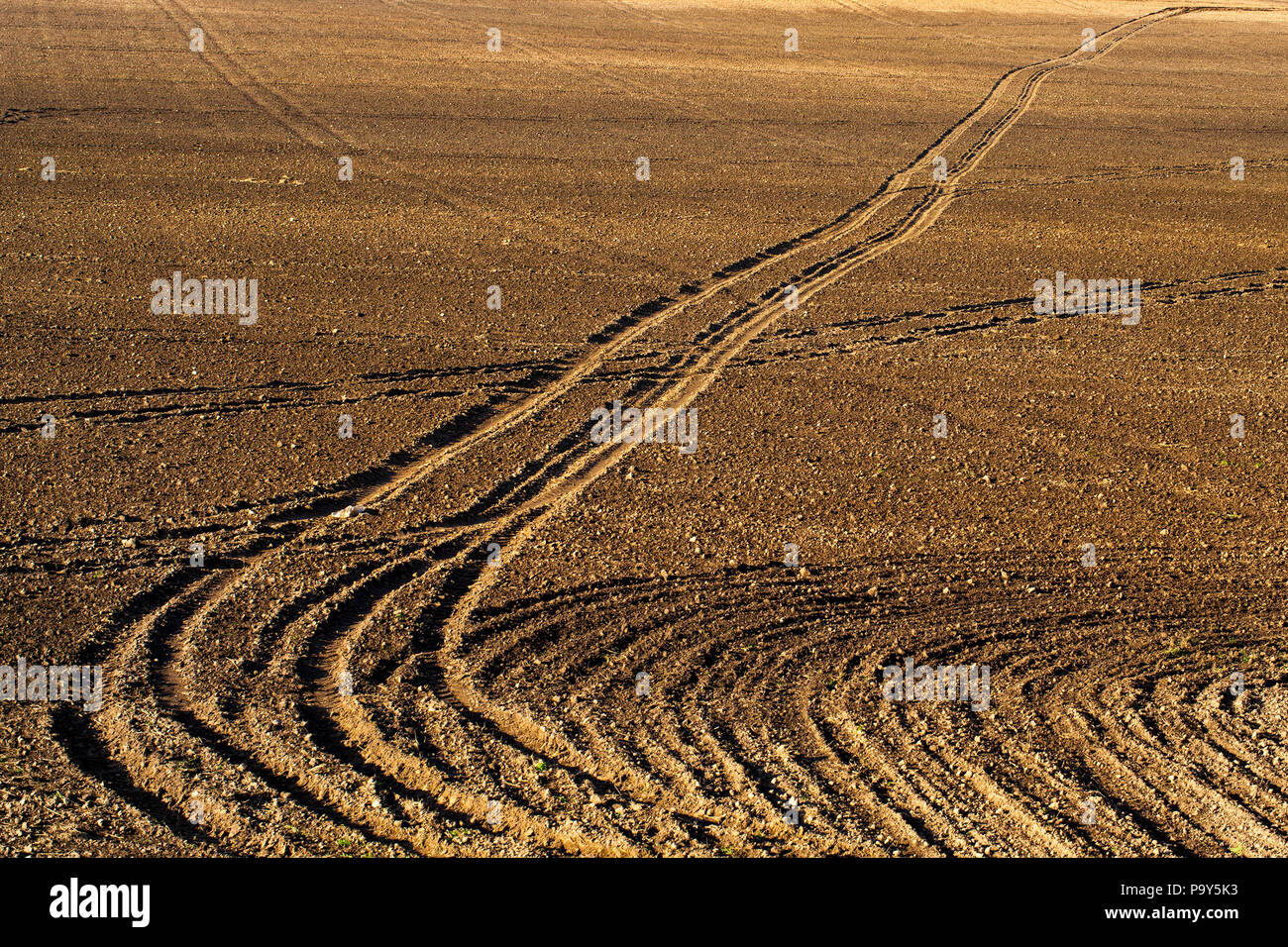 plowed agricultural crop field on which there were traces of the ...