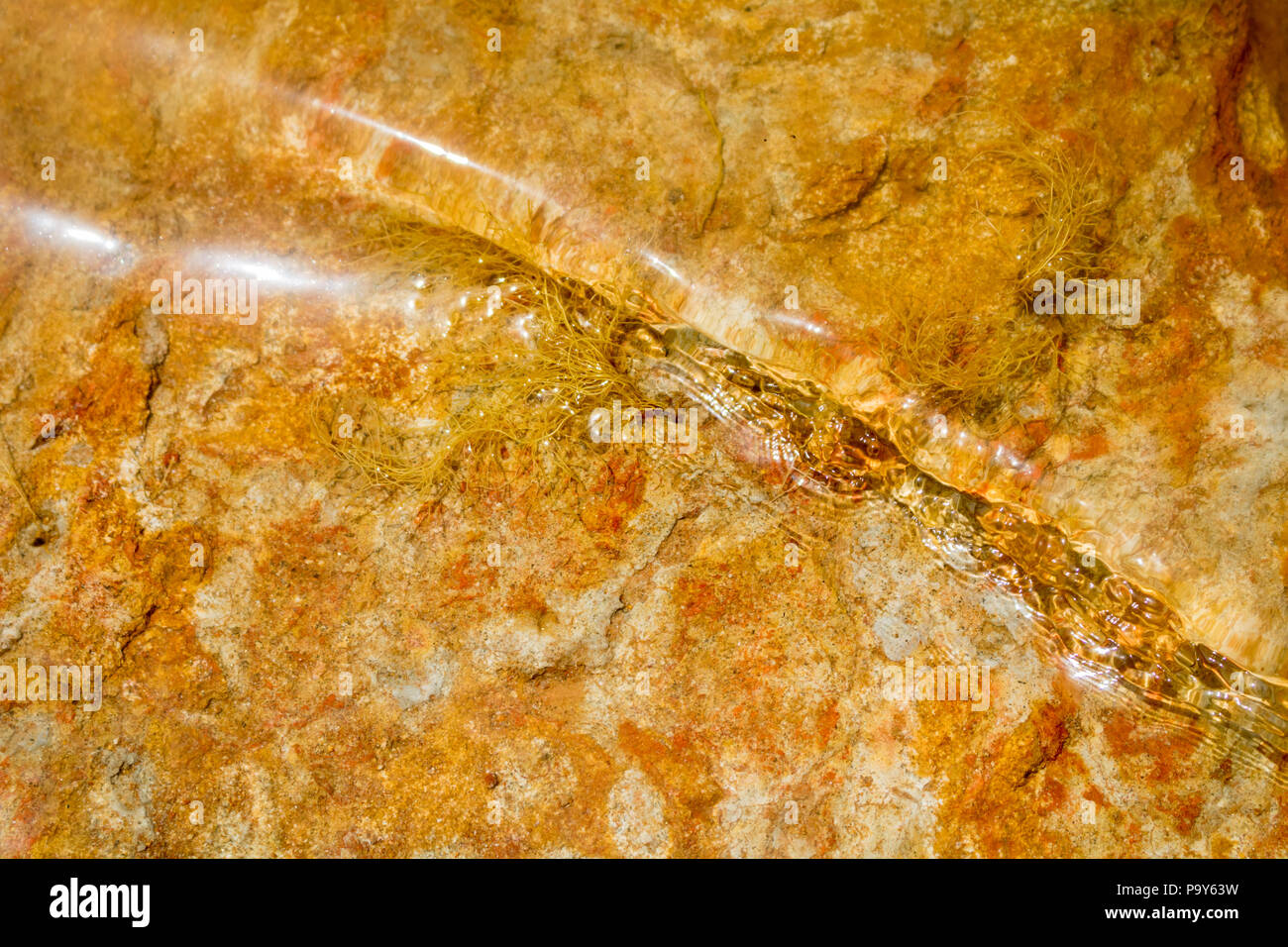 Refraction underwater hi-res stock photography and images - Alamy