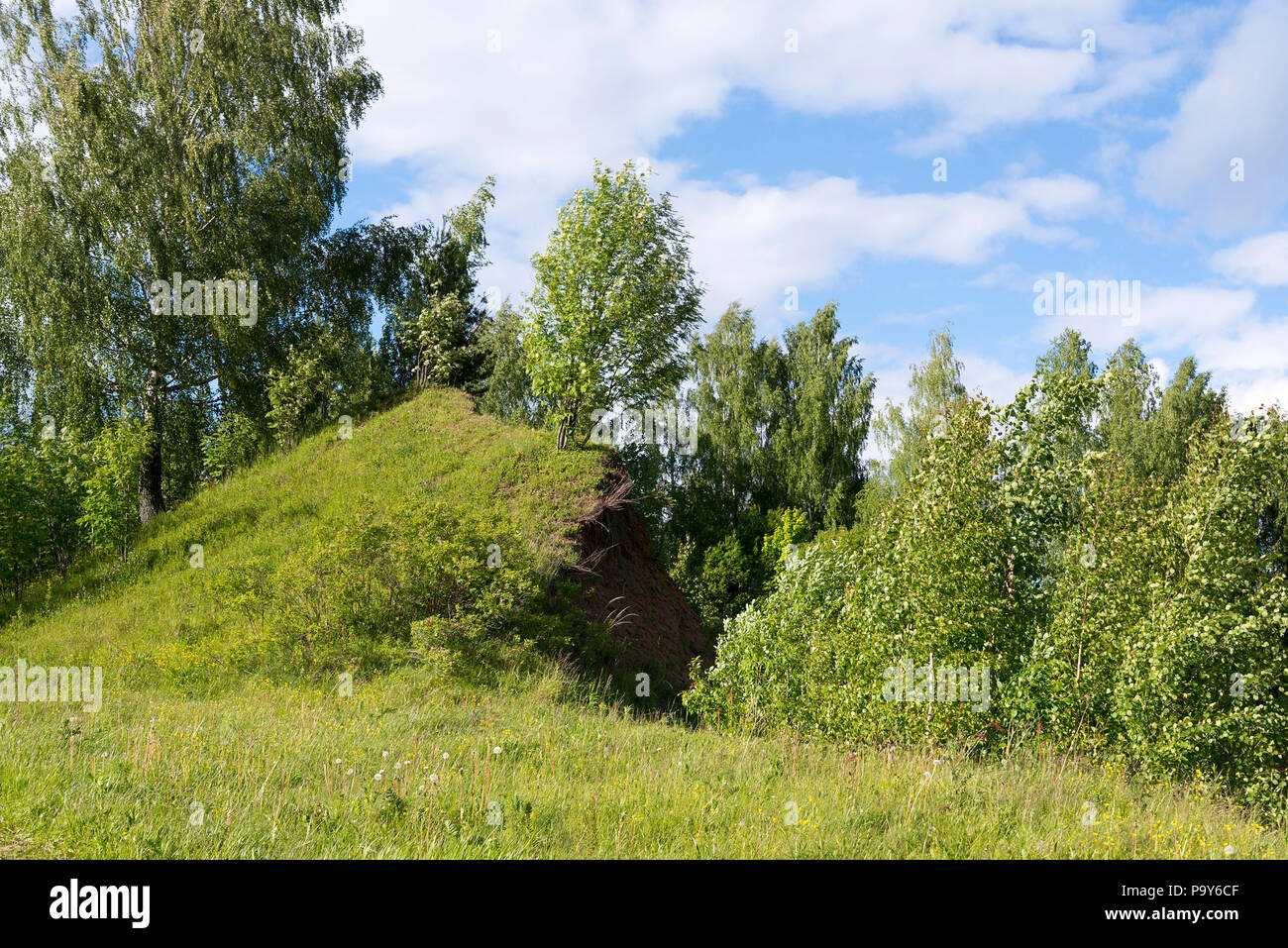 Ecology trees hi-res stock photography and images - Alamy