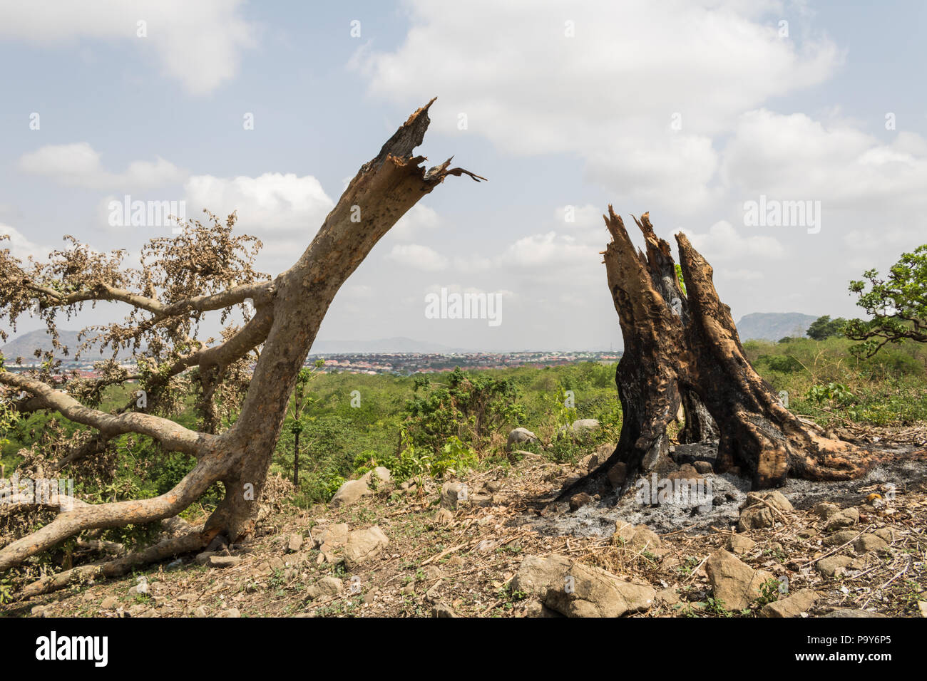 Burn conservation hi-res stock photography and images - Alamy