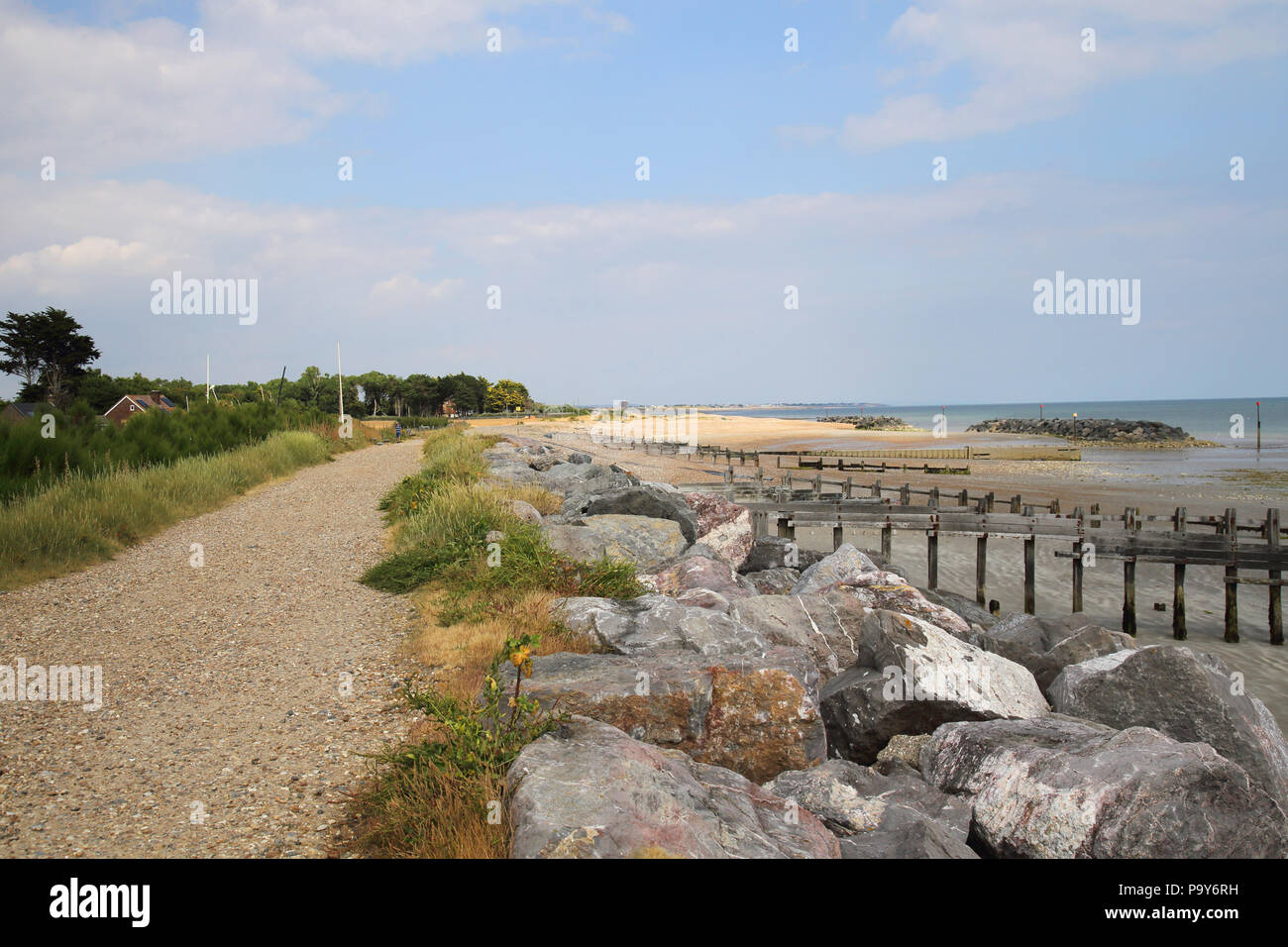 Elmer the great hi-res stock photography and images - Alamy