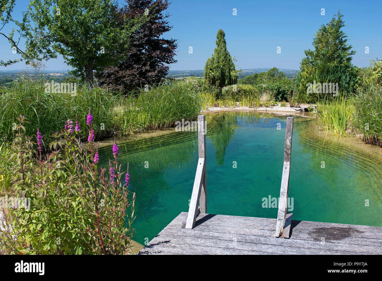 Swimming pool design hi-res stock photography and images - Alamy