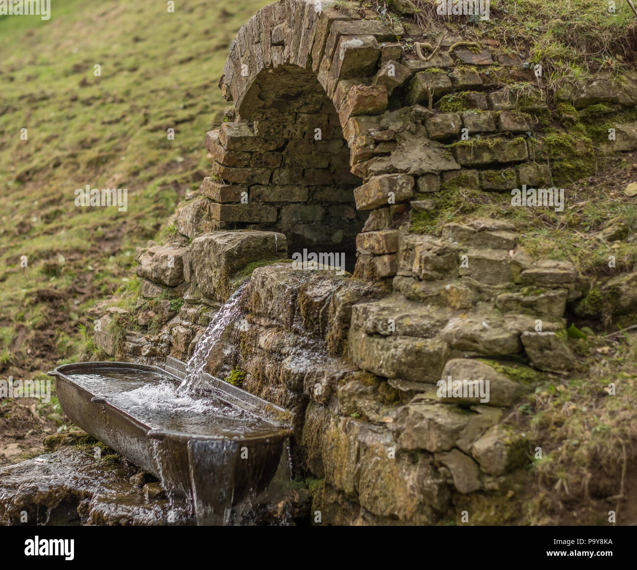 Well Spring High Resolution Stock Photography and Images - Alamy