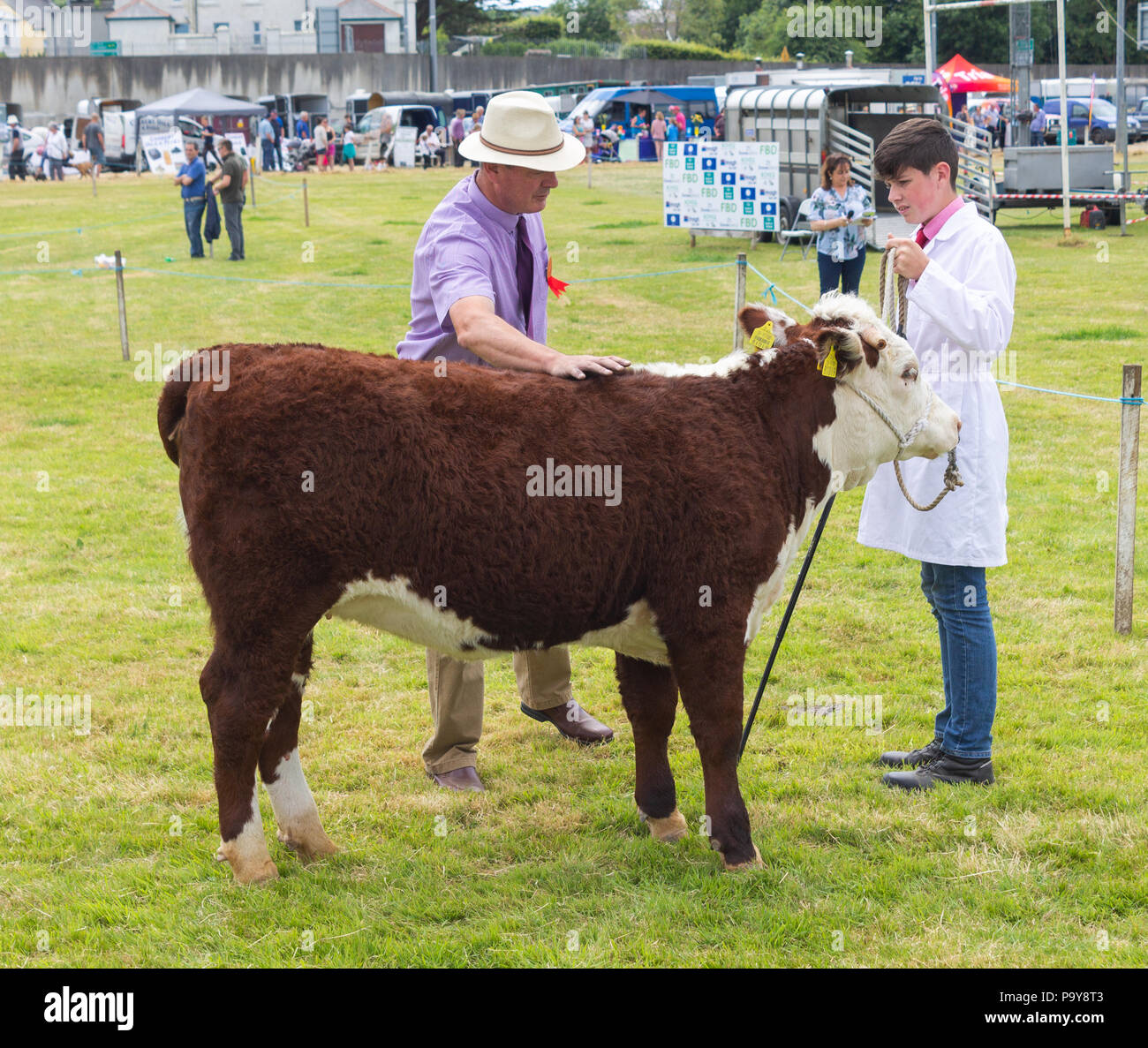 Livestock agricultural show hi-res stock photography and images - Alamy