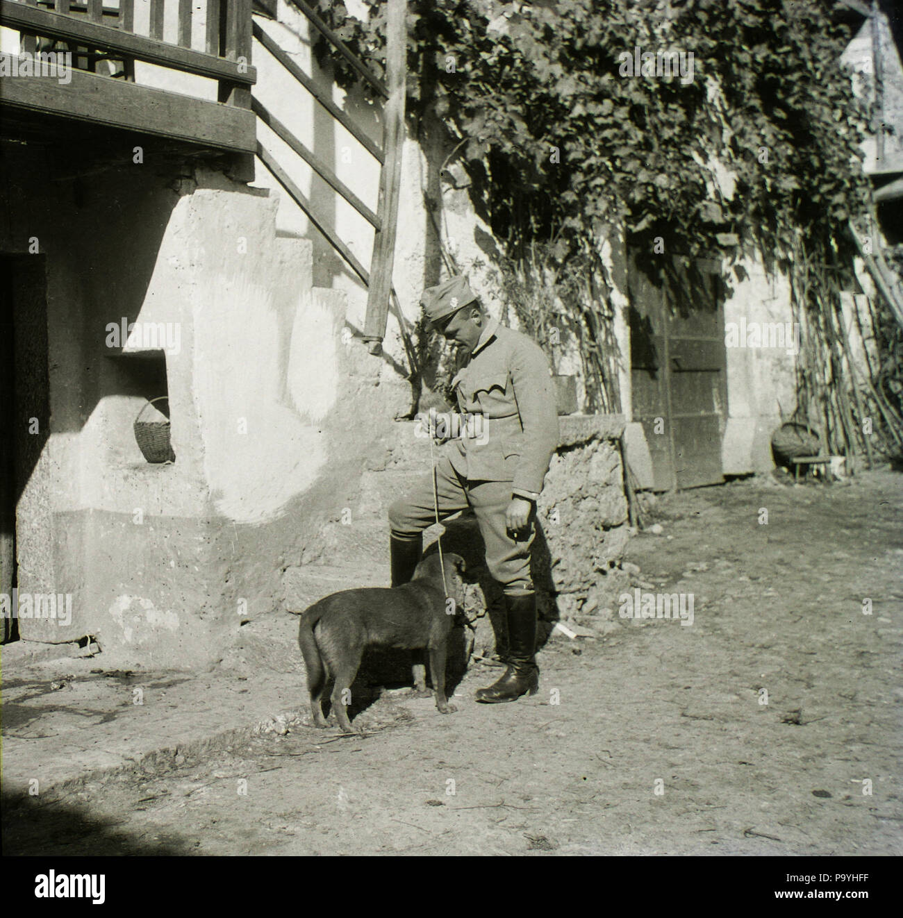 583 Dog, soldier, First World War Fortepan 86106 Stock Photo - Alamy