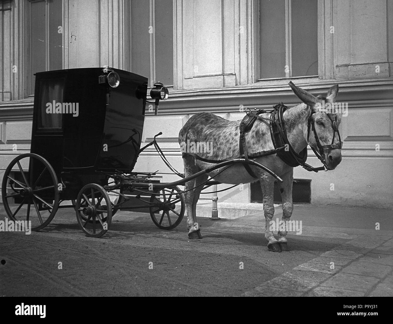 585 Donkey, carriage, coach, toy Fortepan 17844 Stock Photo - Alamy