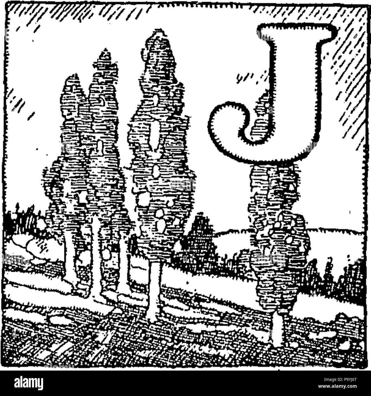 J dennis Black and White Stock Photos & Images - Alamy