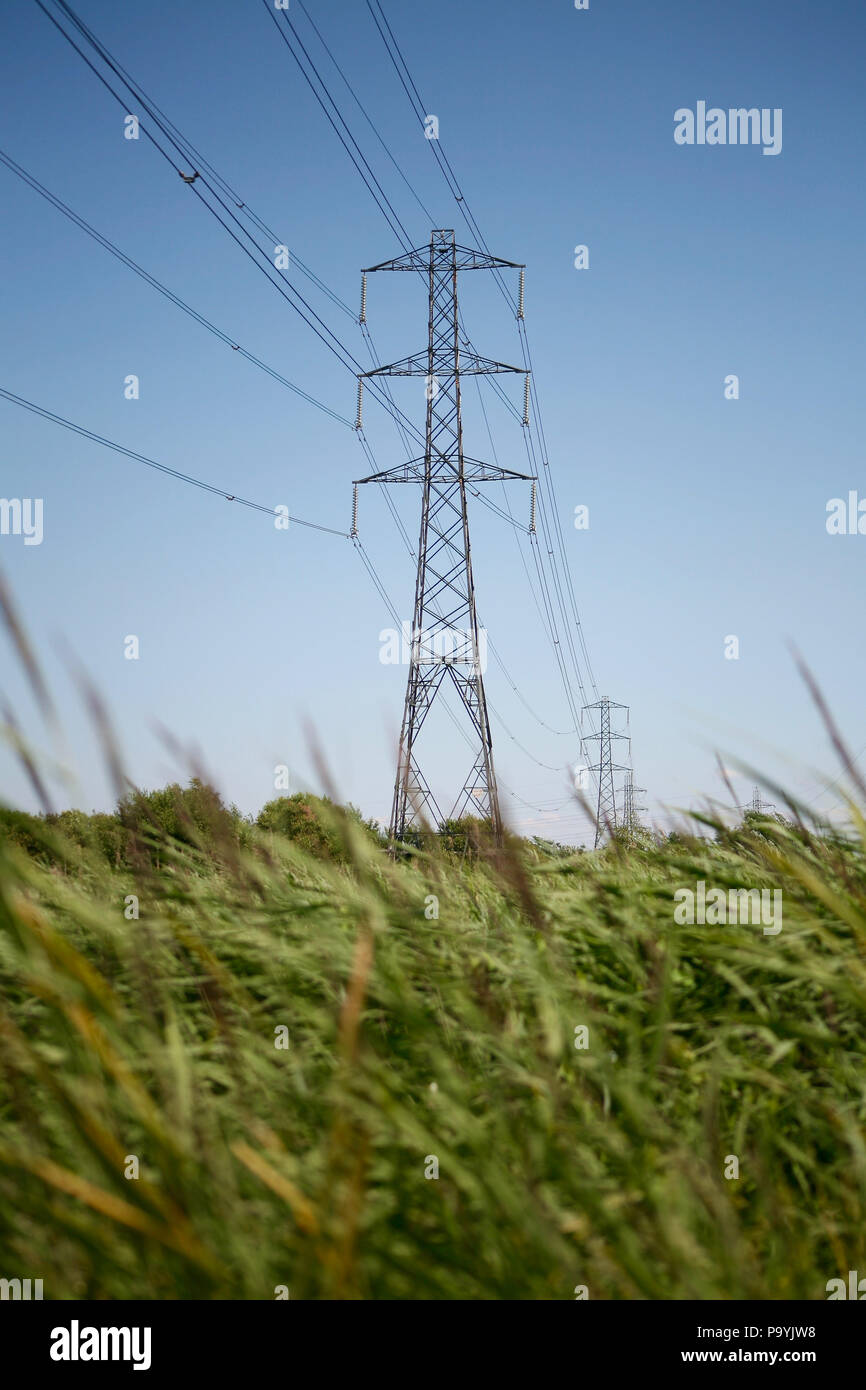 Pylons over long grass in the summer time Stock Photo - Alamy