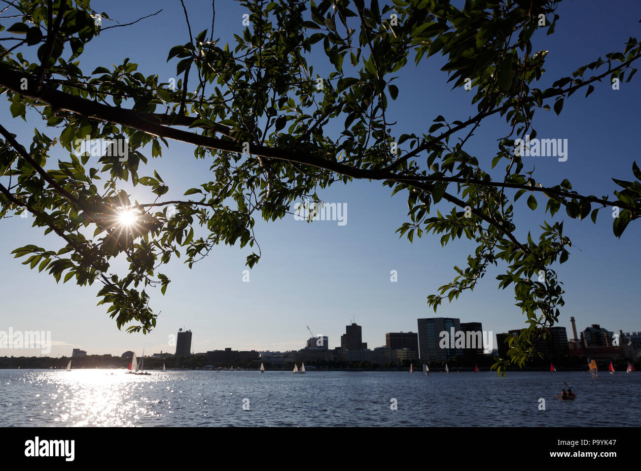 The Charles River, Boston Massachusetts Stock Photo - Alamy