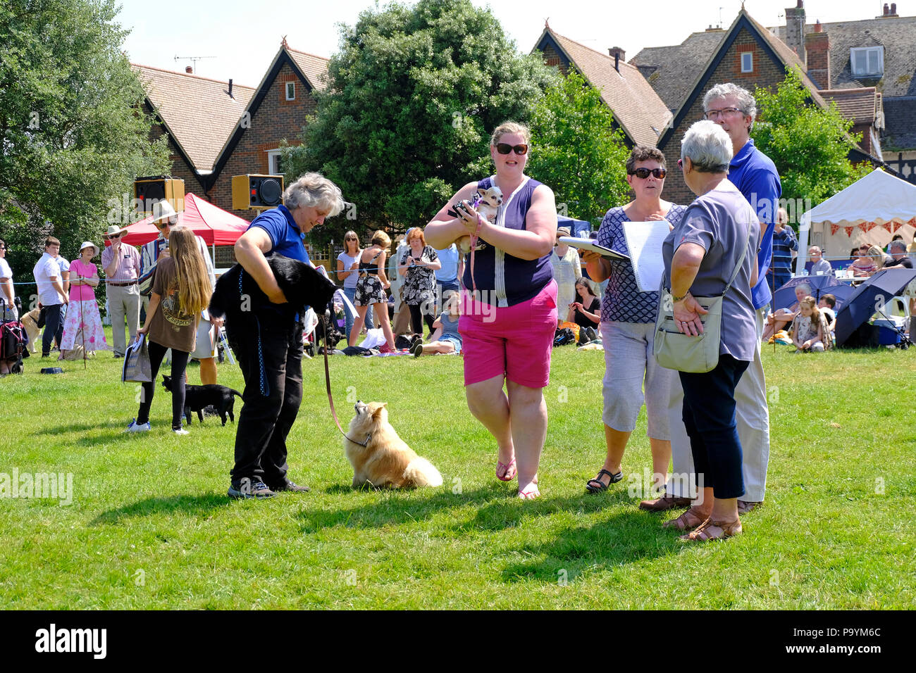 Carrying dog on arm hi-res stock photography and images - Alamy