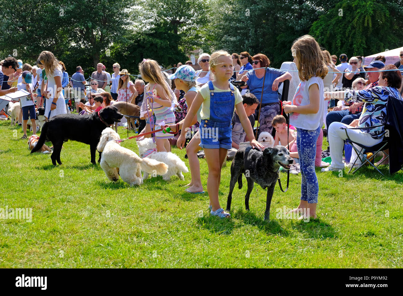 East Preston, West Sussex, UK. Fun dog show held on village green ...