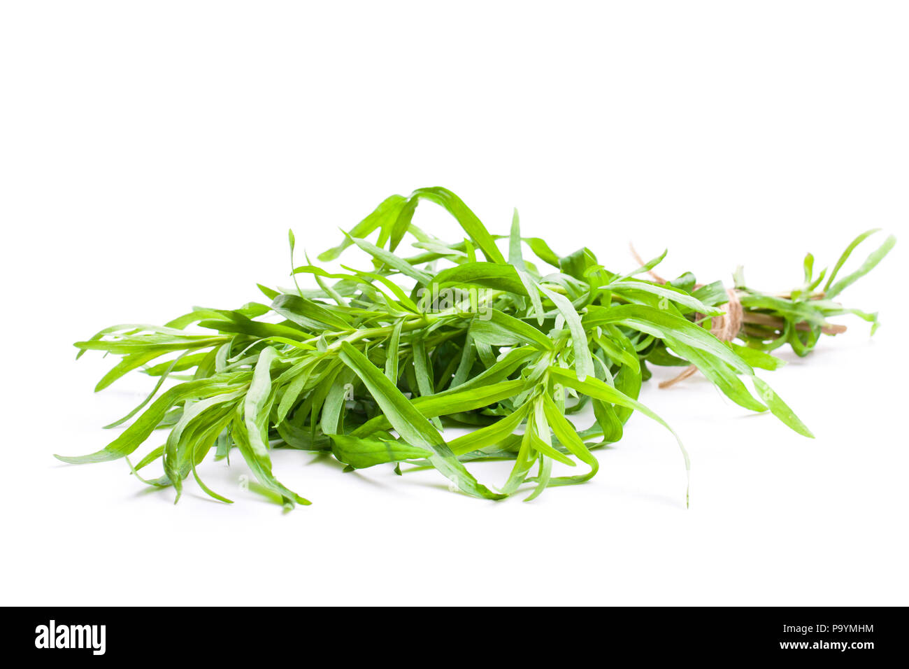 Bunch of tarragon plant isolated on white Stock Photo - Alamy