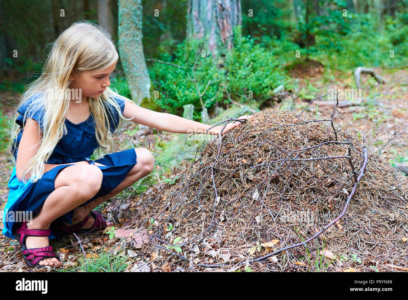 Child blond girl exploring anthill in the woods Stock Photo - Alamy