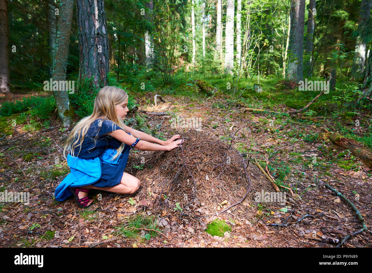Child blond girl exploring anthill in the woods Stock Photo - Alamy