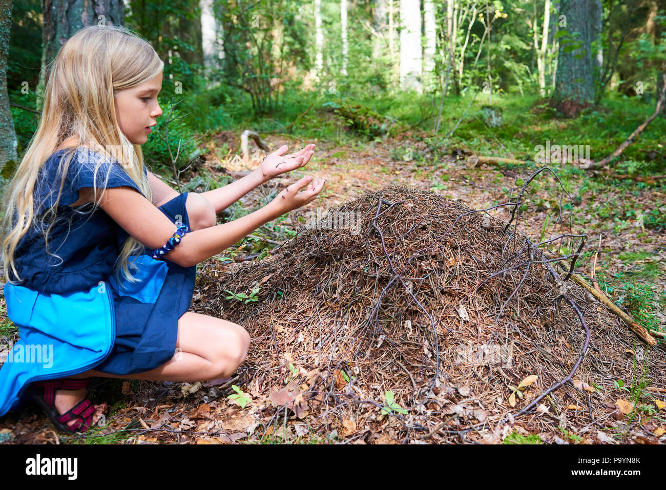 Exploring Ant High Resolution Stock Photography and Images - Alamy