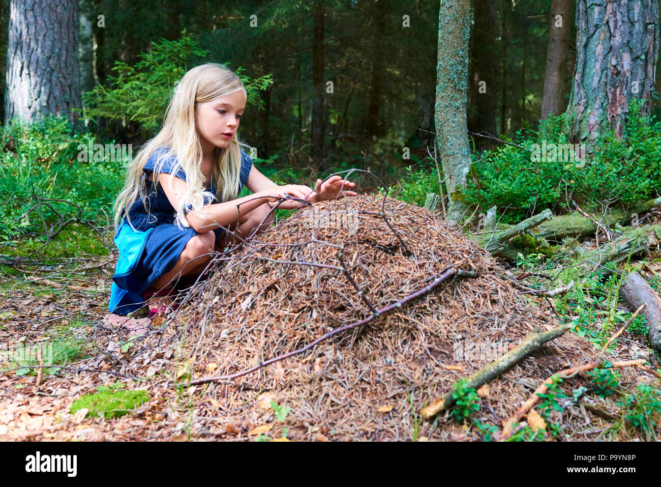 Child blond girl exploring anthill in the woods Stock Photo - Alamy