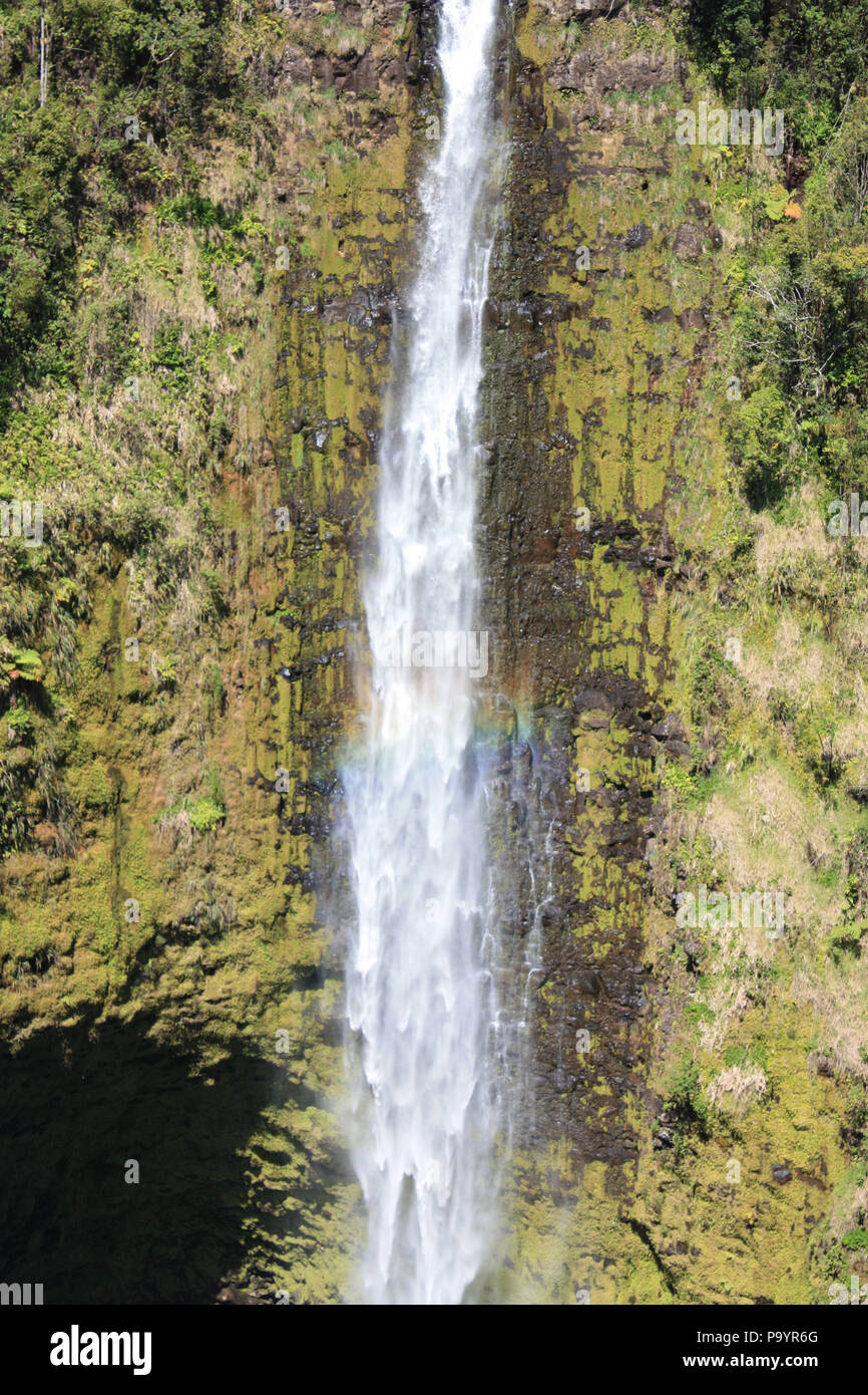 A waterfall with a rainbow crossing the cascading water in a rainforest ...
