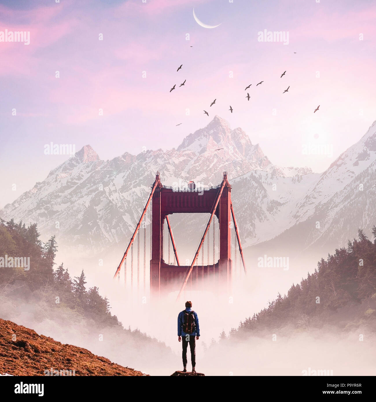 Hidden worlds hi-res stock photography and images - Alamy