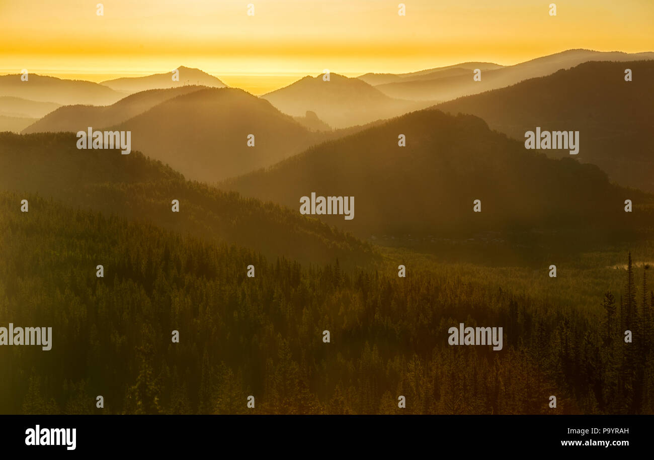 Golden light hi-res stock photography and images - Alamy