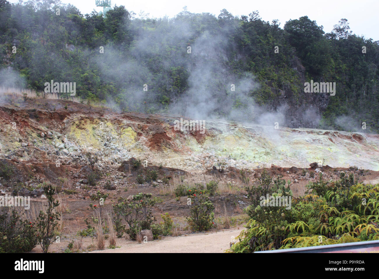 Steam rising through hot volcanic rock at Sulphur Banks in Volcanoes ...