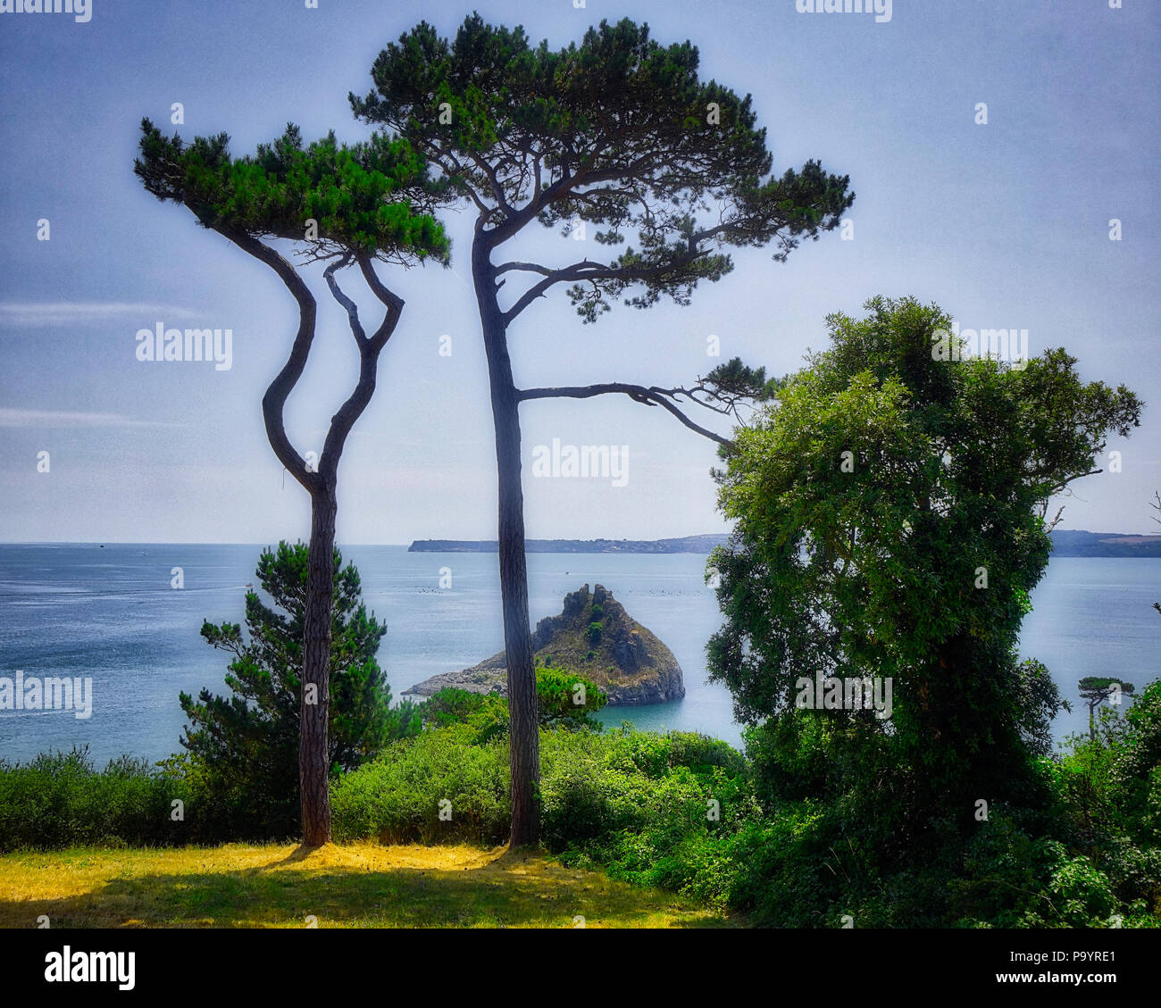 Thatcher rock in torquay hi-res stock photography and images - Alamy