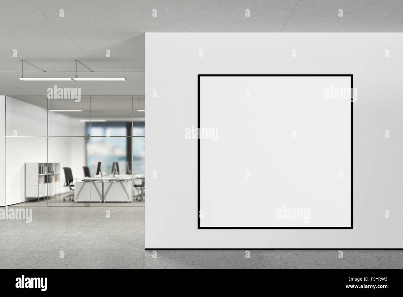 Large square blank poster on the wall in modern office with clipping ...