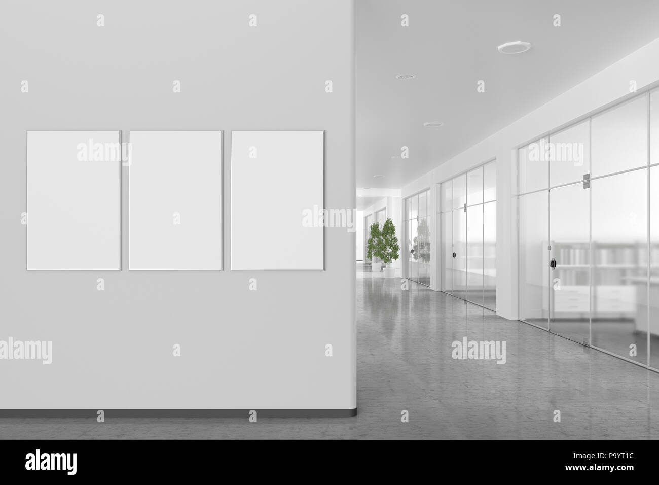 Three blank posters on the wall in bright office interior with clipping ...