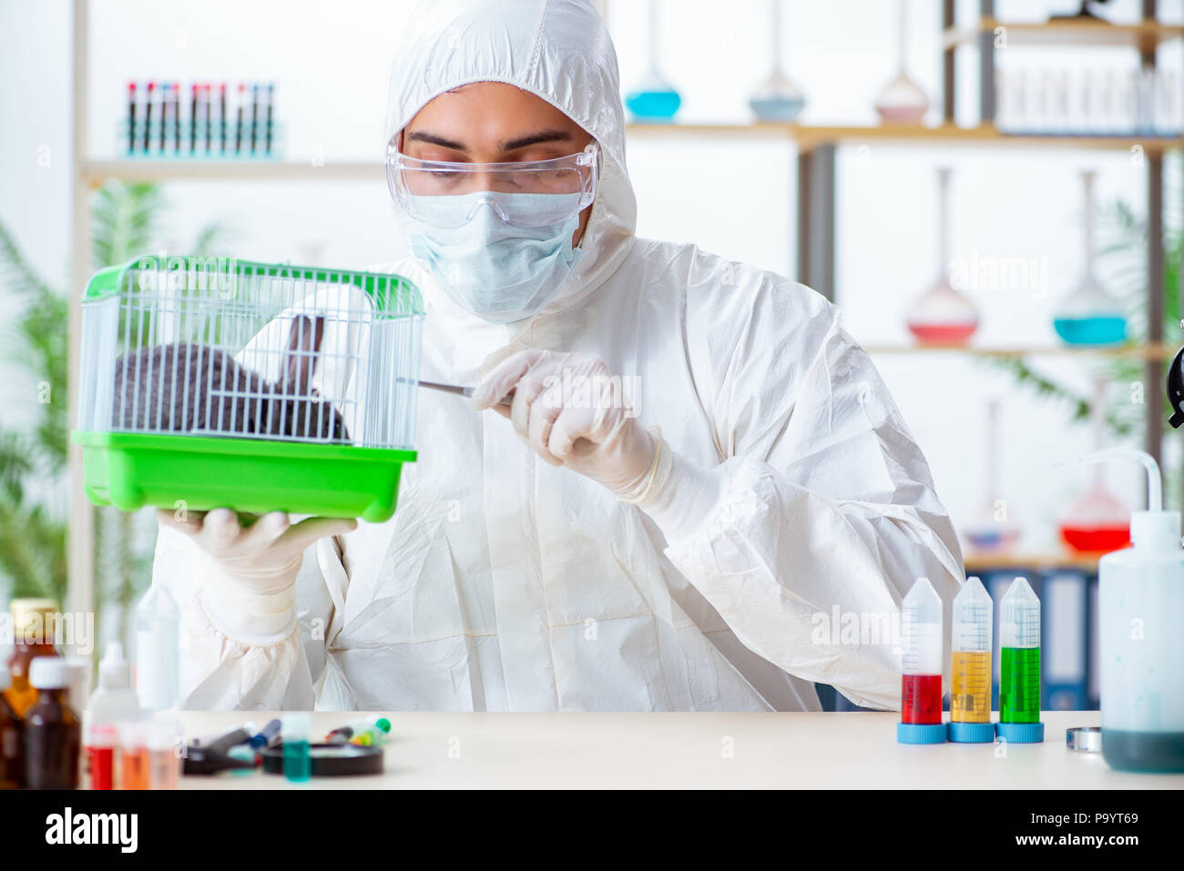Scientist doing testing on animals rabbit Stock Photo - Alamy