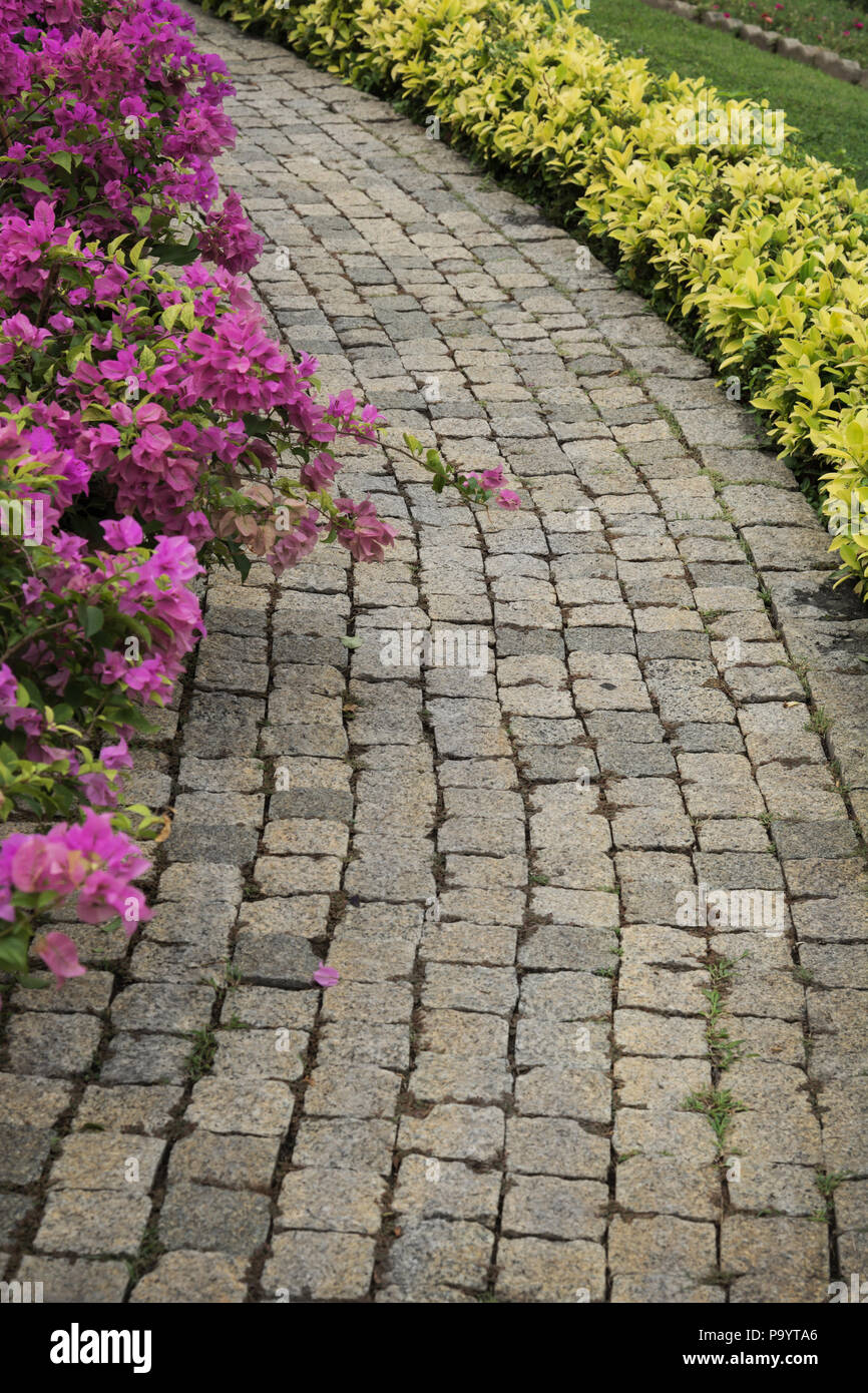 Stone paved patio path pathway hi-res stock photography and images - Alamy
