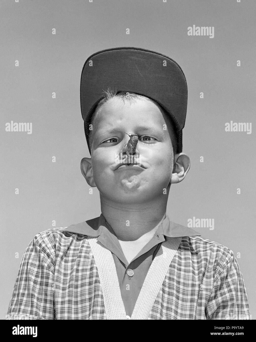 Insect faces Black and White Stock Photos & Images - Alamy