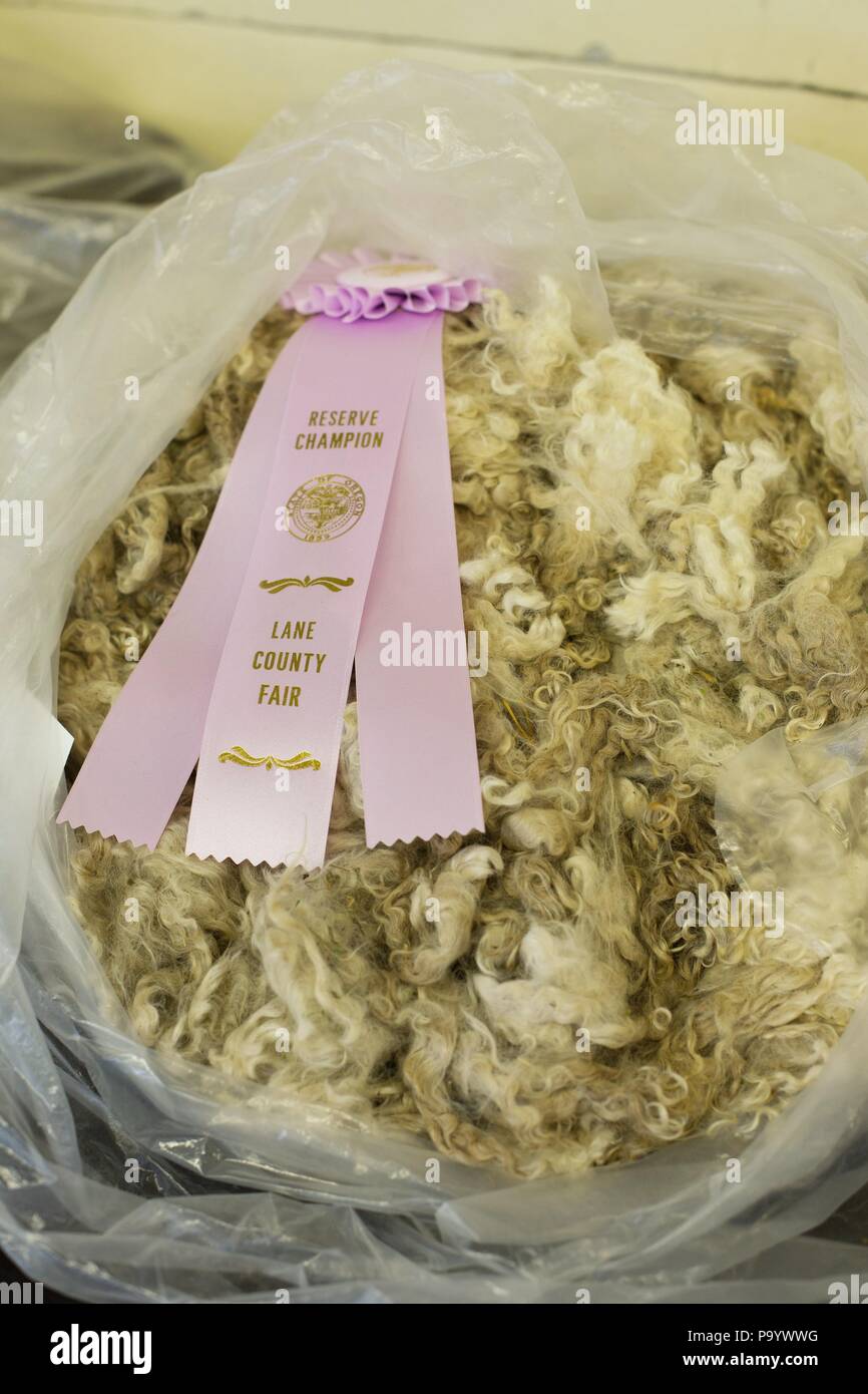 Prize winning wool, on display at the Lane County Fair in Eugene ...