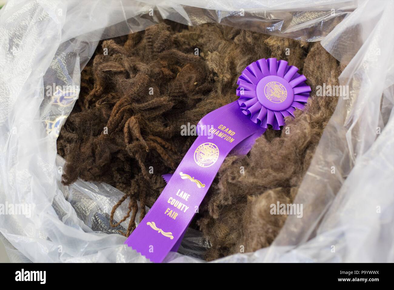 Prize winning ribbon hi-res stock photography and images - Alamy