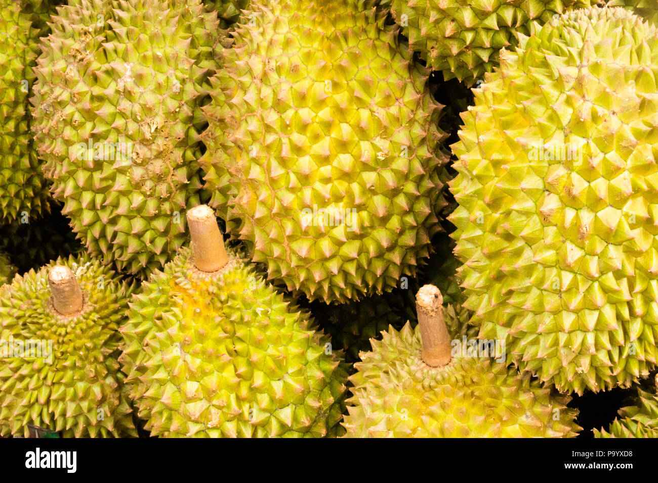 Open durian hi-res stock photography and images - Alamy