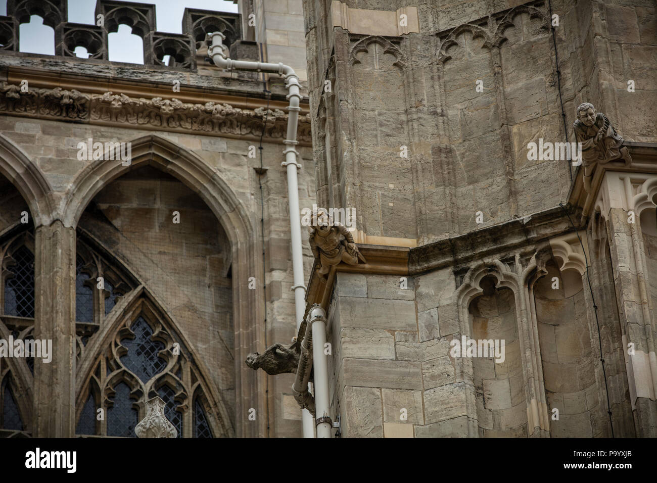 Gargoyles carved in stone on York Minster Stock Photo - Alamy