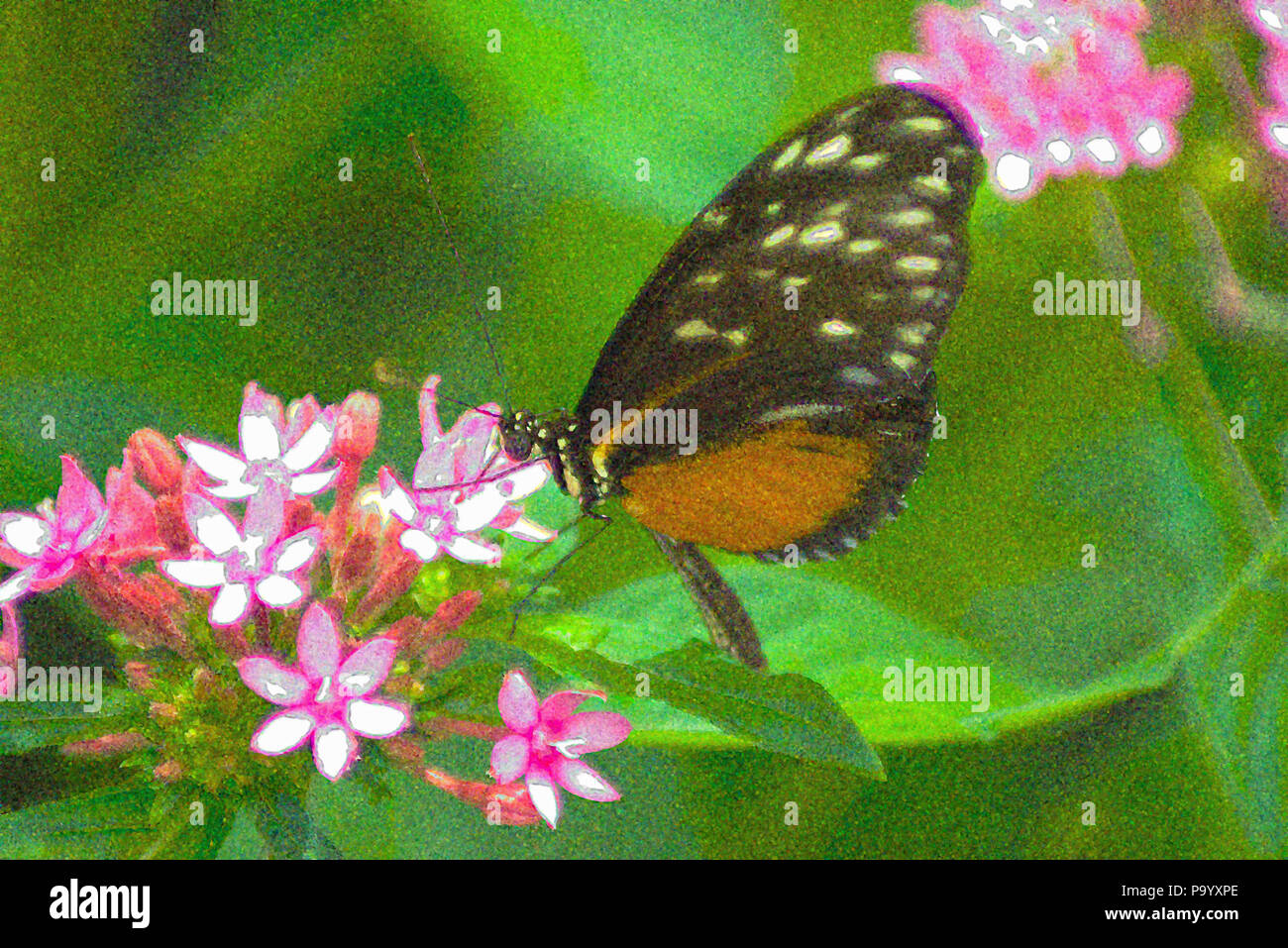 Golden helicon hi-res stock photography and images - Alamy