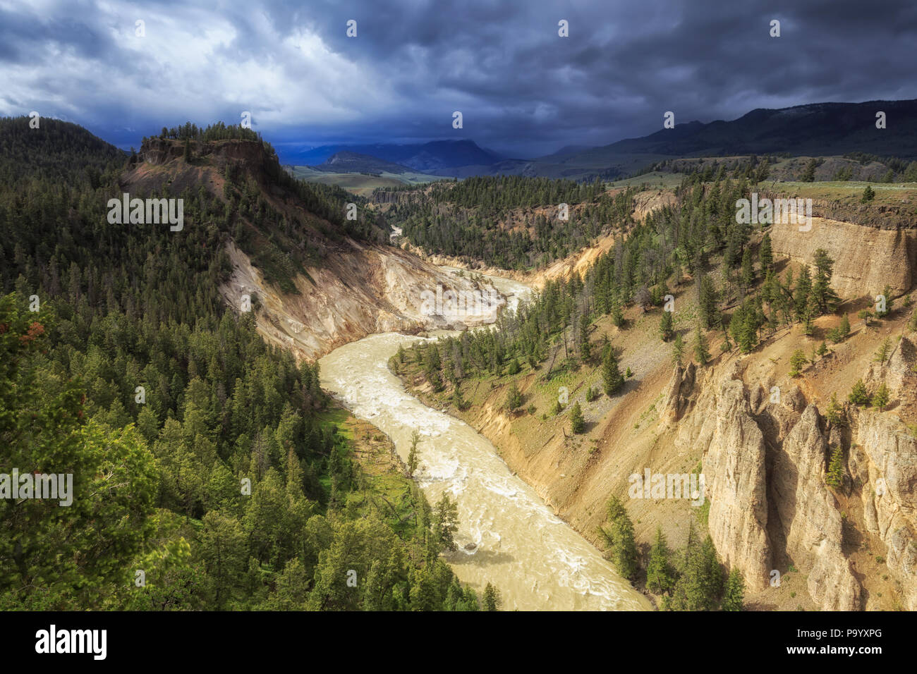 Yellowstone river in Yellowstone NP Stock Photo - Alamy