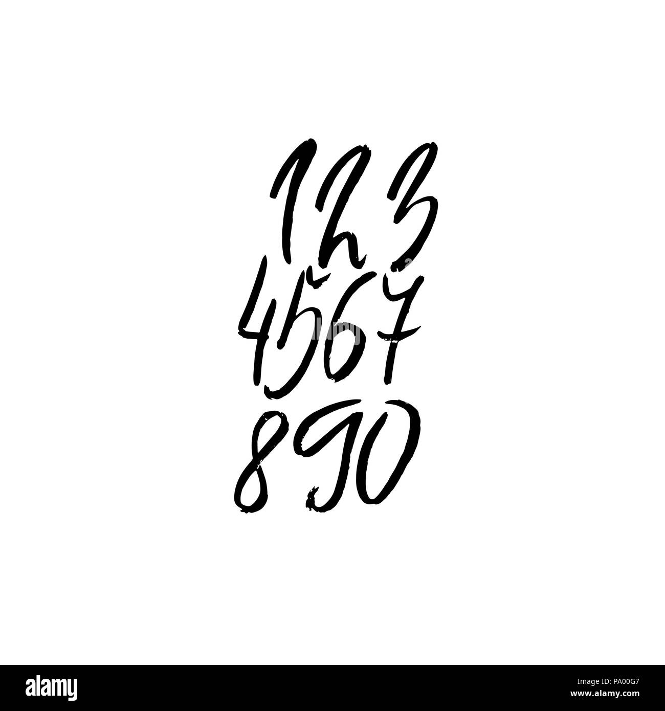 Set of calligraphic ink numbers. Textured dry brush lettering. Vector ...