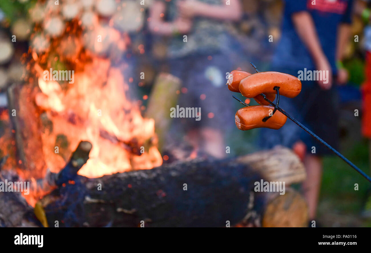 Grilling meat on a fire on a summer vacation Stock Photo - Alamy