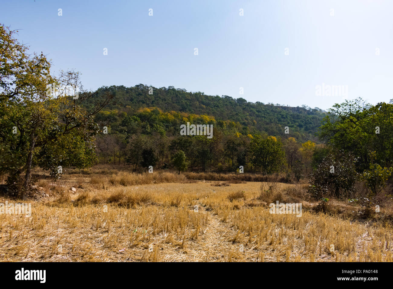 Top of the mountain is a landscape of bare rock and rock pools in rural ...