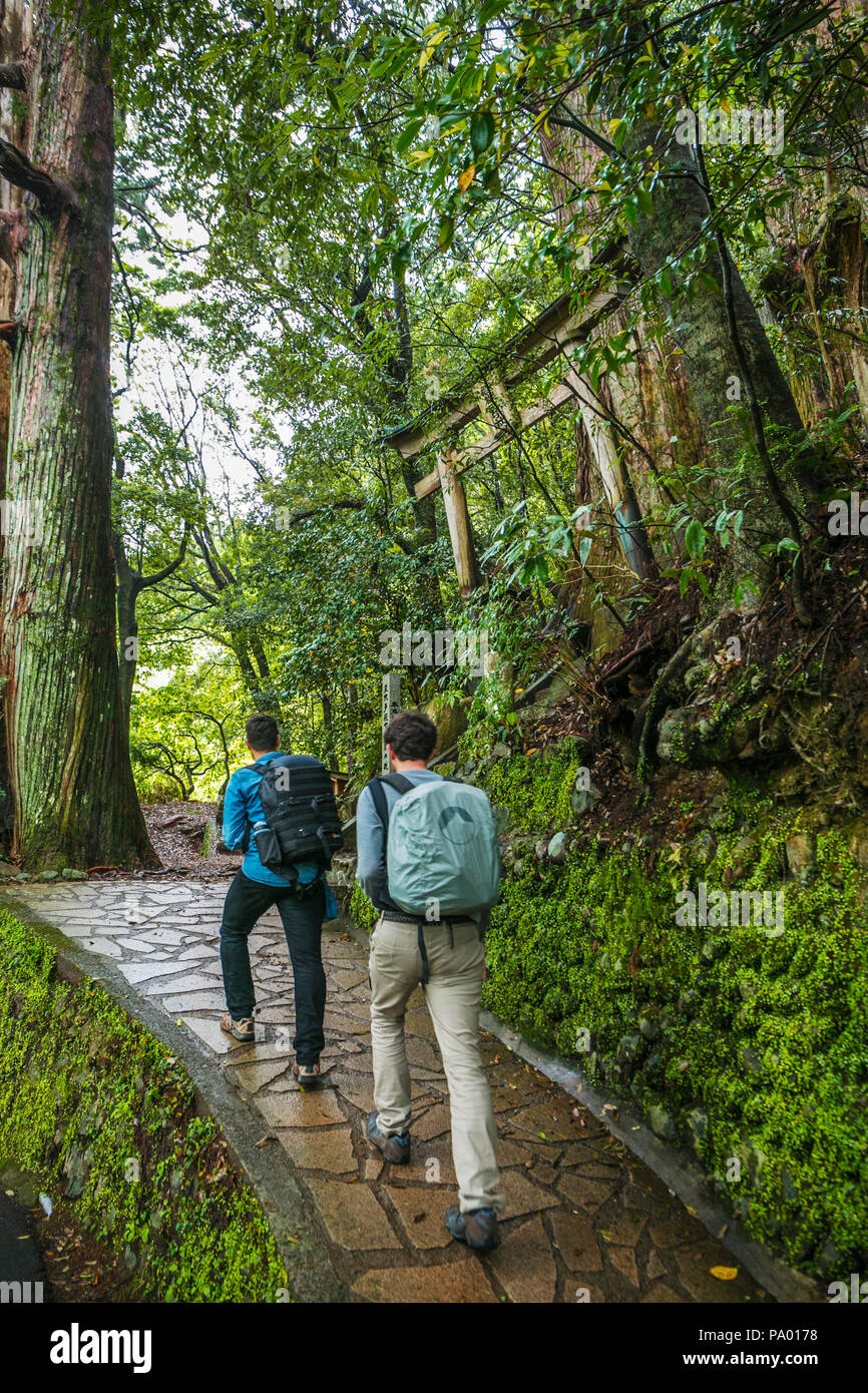 Kumano Kodo pilgrimage route.Tsugizakura Oji. Ancient shrine with ...