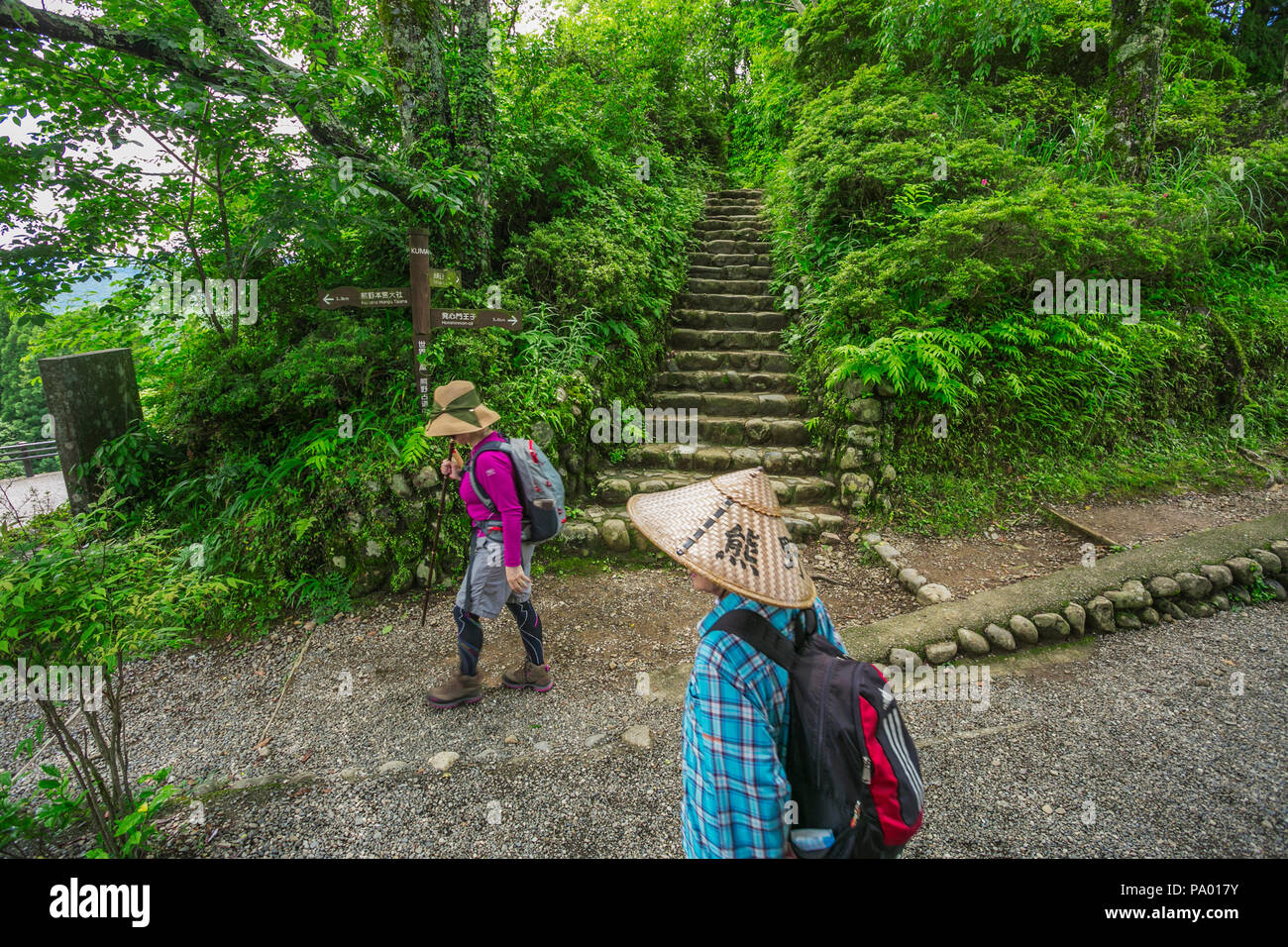 Kumano Kodo pilgrimage route. Walk to Fushiogami-oji. Nakahechi ...