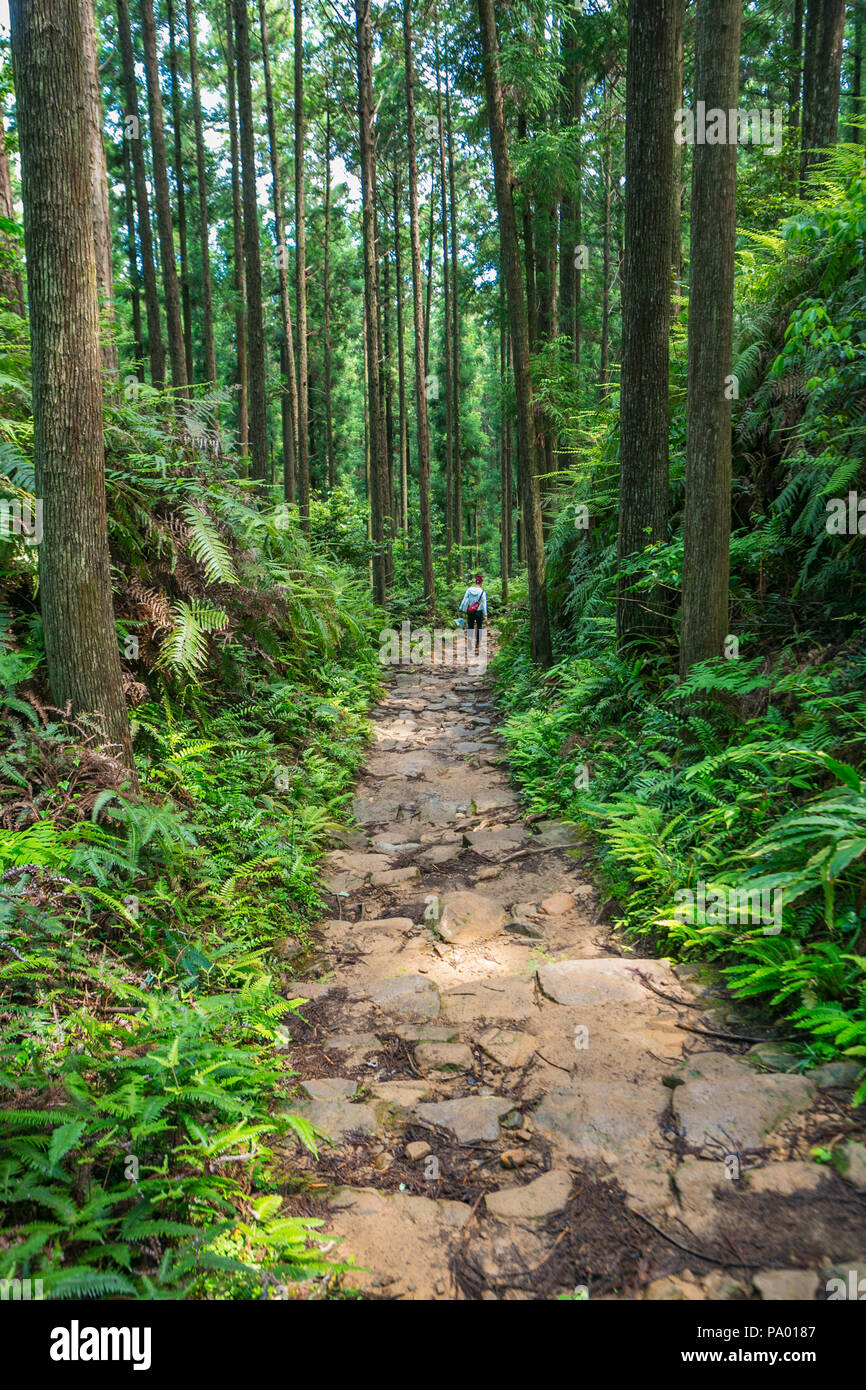Kumano Kodo pilgrimage route. Way to Shinto arch behind Kumano Hongu ...
